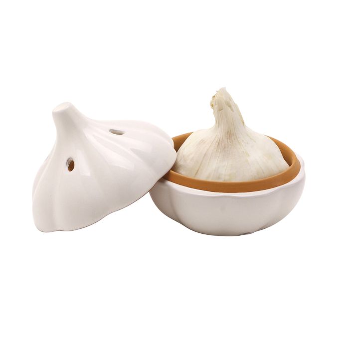 Garlic Pod Terracotta – Homeportonline