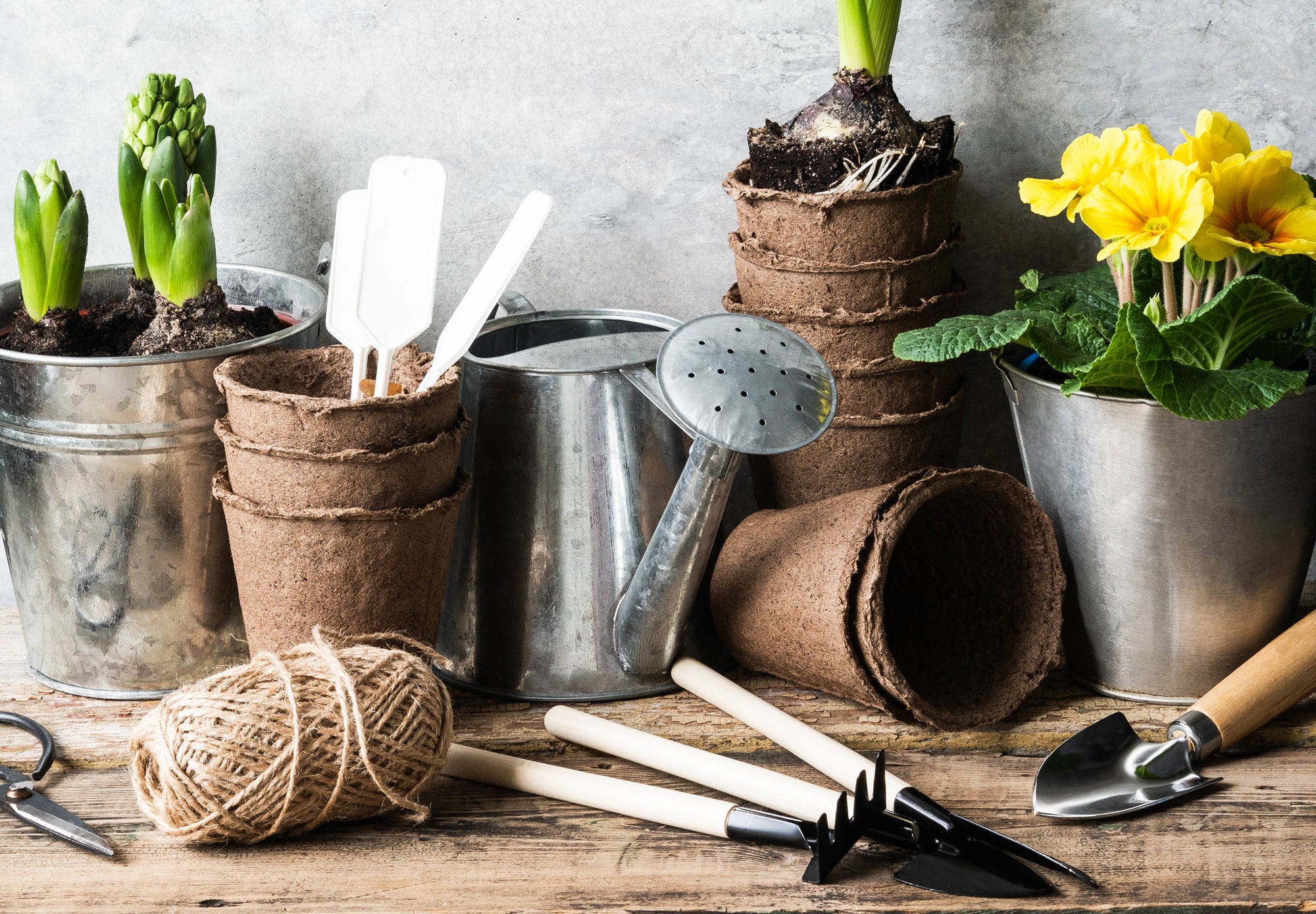 Homeport Online – Homeportonline