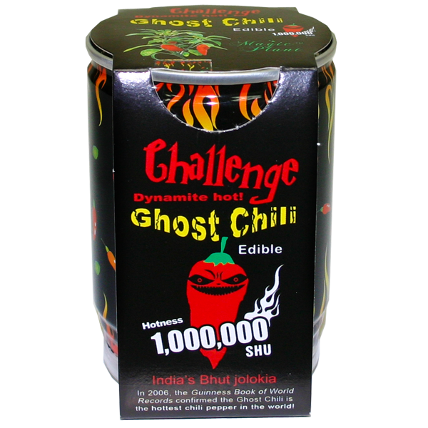 Ghost Chili Pepper Plant Can – Homeport